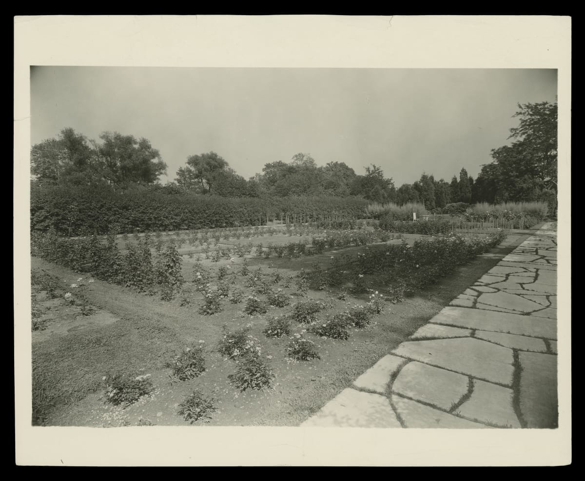 Rose Garden at Fair Lane Estate, Dearborn, Michigan, circa 1920 - The ...