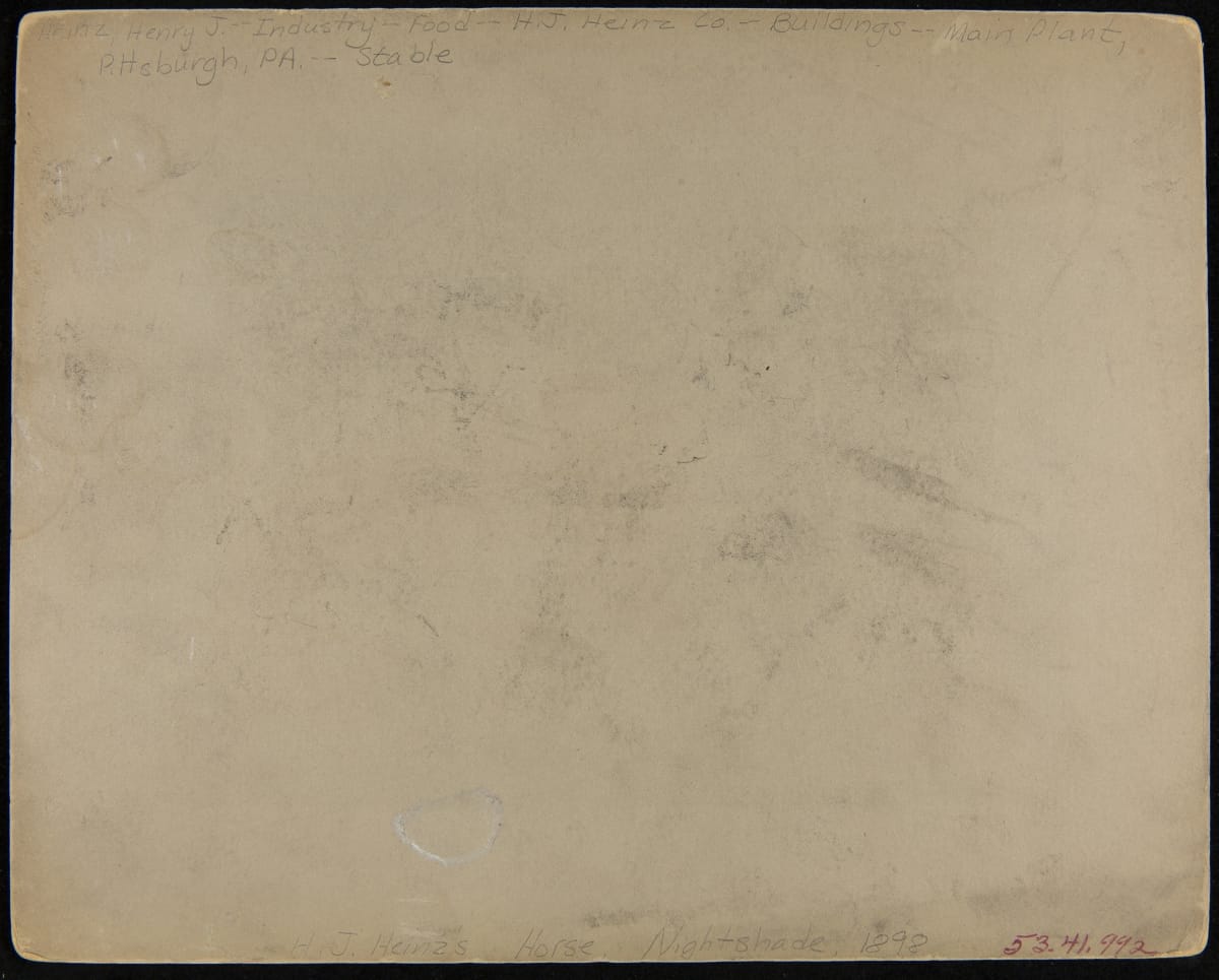 Nightshade the Prize-Winning Horse, H. J. Heinz Company, Pittsburgh ...