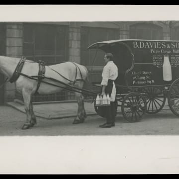 Expert Sets - Digital Collections - The Henry Ford