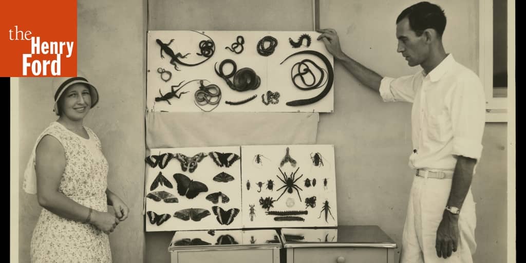 Dr. and Mrs. Claude R. Smith with Collection of Jungle Fauna ...