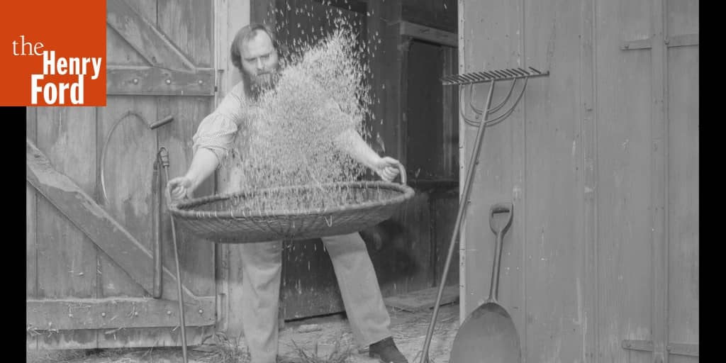 Demonstrating Winnowing at Addison Ford Barn in Greenfield Village, May ...
