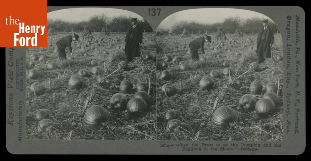 Farming Pumpkins in Indiana, 1920-1929 - The Henry Ford