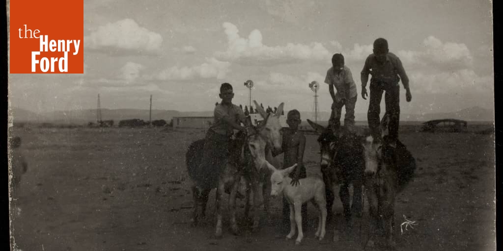 Four Unser Brothers with their Donkeys, 1945-1950 - The Henry Ford