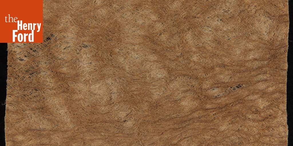 Tree Bark and Wood Pulp Samples from Brazil, Sample #3, X, 1925-1928 ...