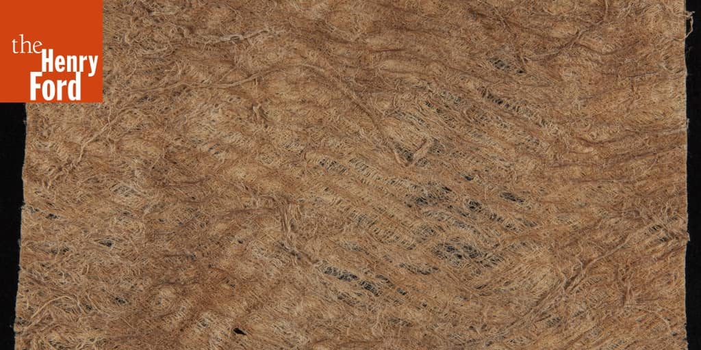 Tree Bark and Wood Pulp Samples from Brazil, Sample #6, Apuhy, 1925 ...