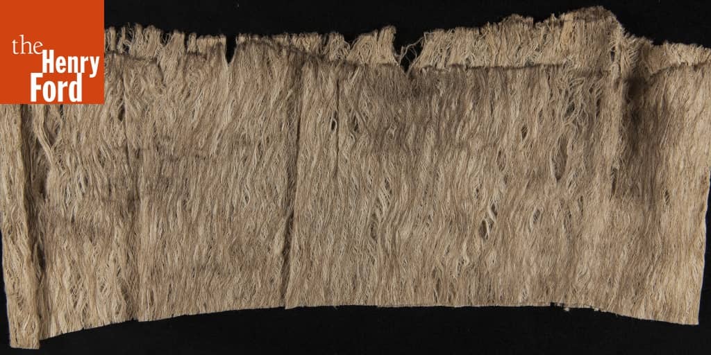 Tree Bark and Wood Pulp Samples from Brazil, Sample #10, 1925-1928 ...