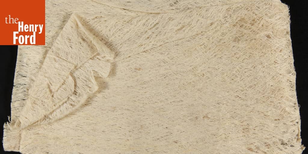 Tree Bark and Wood Pulp Samples from Brazil, Sample #12, 1925-1928 ...