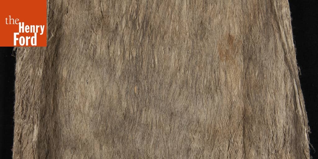 Tree Bark and Wood Pulp Samples from Brazil, Sample #15, 1925-1928 ...