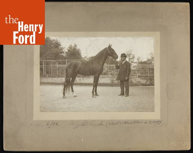 Nightshade the Prize-Winning Horse, H. J. Heinz Company, Pittsburgh ...