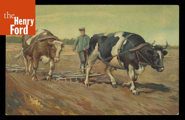 Postcard with a Farmer Guiding Oxen, circa 1910 - The Henry Ford