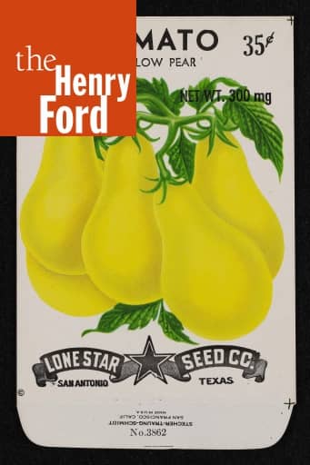 Lone Star Seed Co. "Tomato: Yellow Pear" Seed Packet, 1980 - The Henry Ford